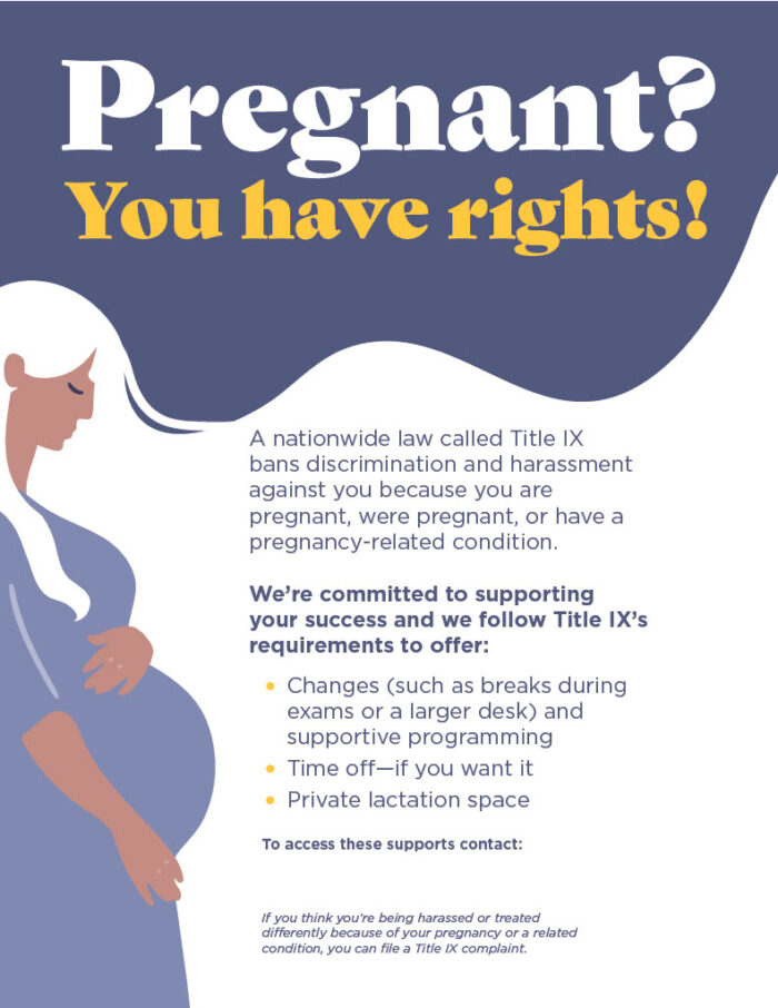 Posters and Social Media Images - The Pregnant Scholar