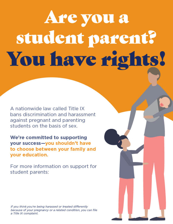 Posters and Social Media Images - The Pregnant Scholar